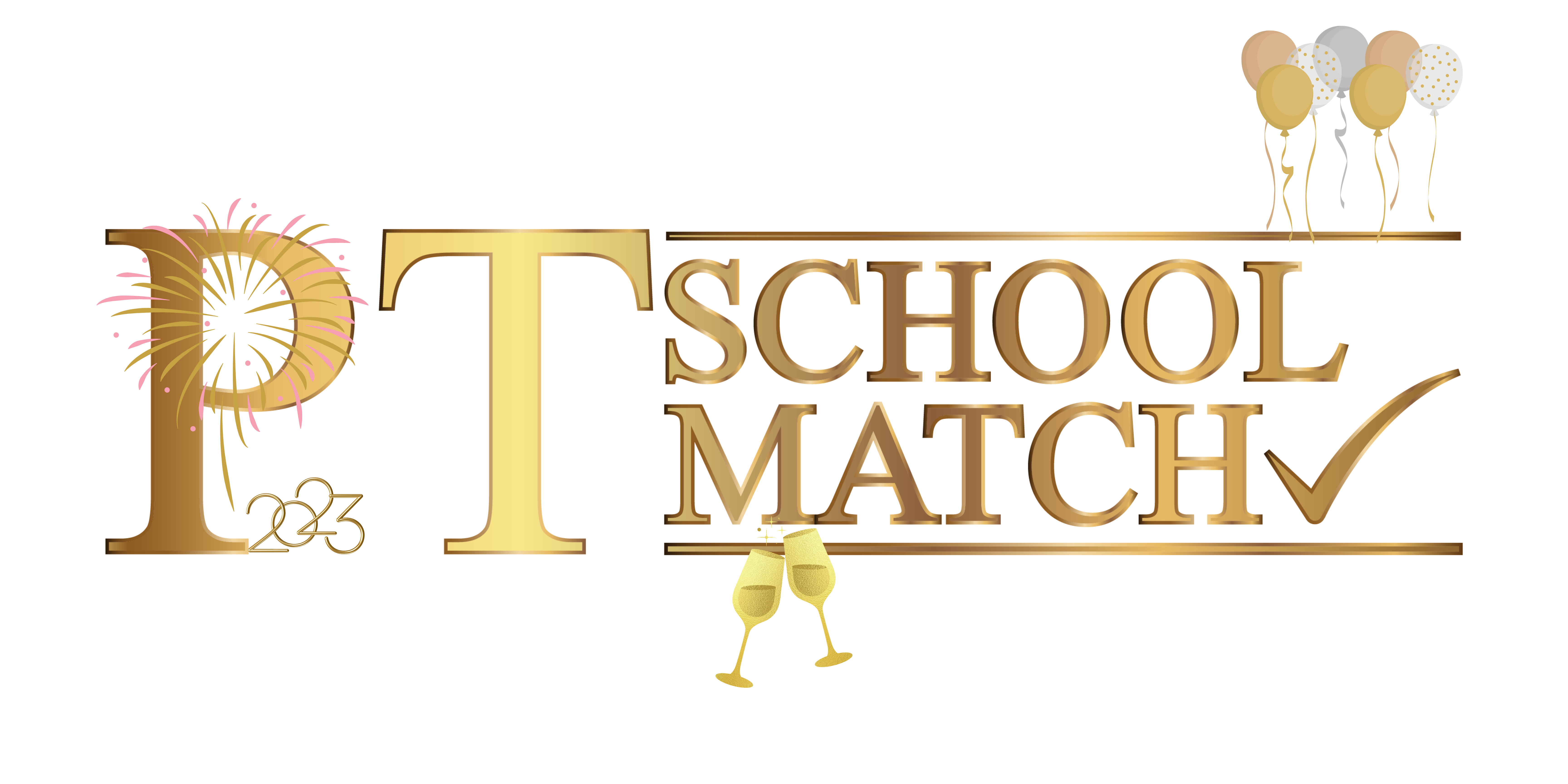 The PT School Match the-pt-school-match