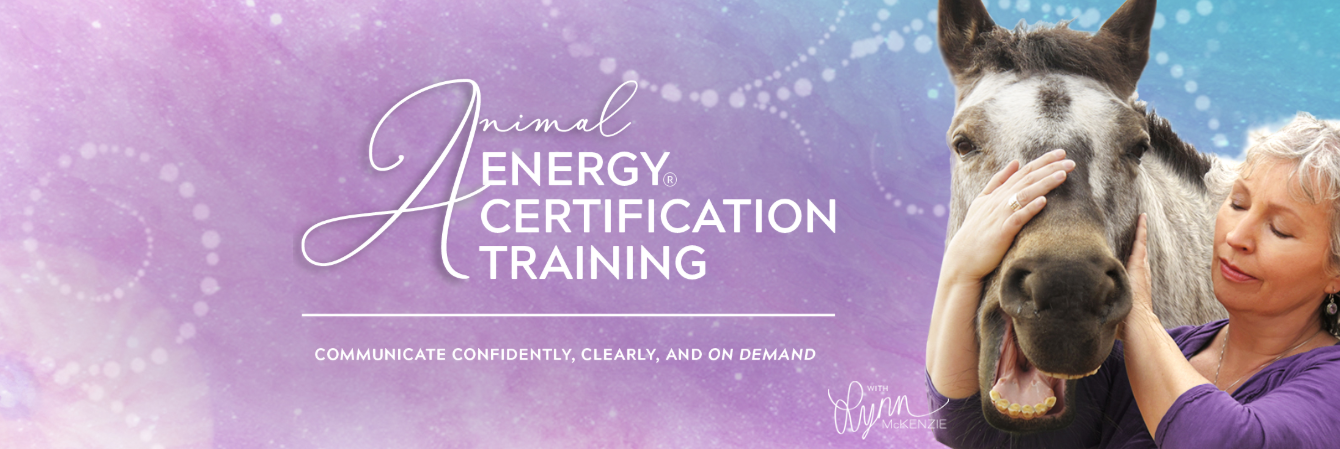 Animal Energy® Certification Training - Lynn McKenzie