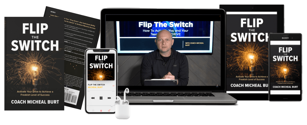 Purchase Flip The Switch by Micheal Burt