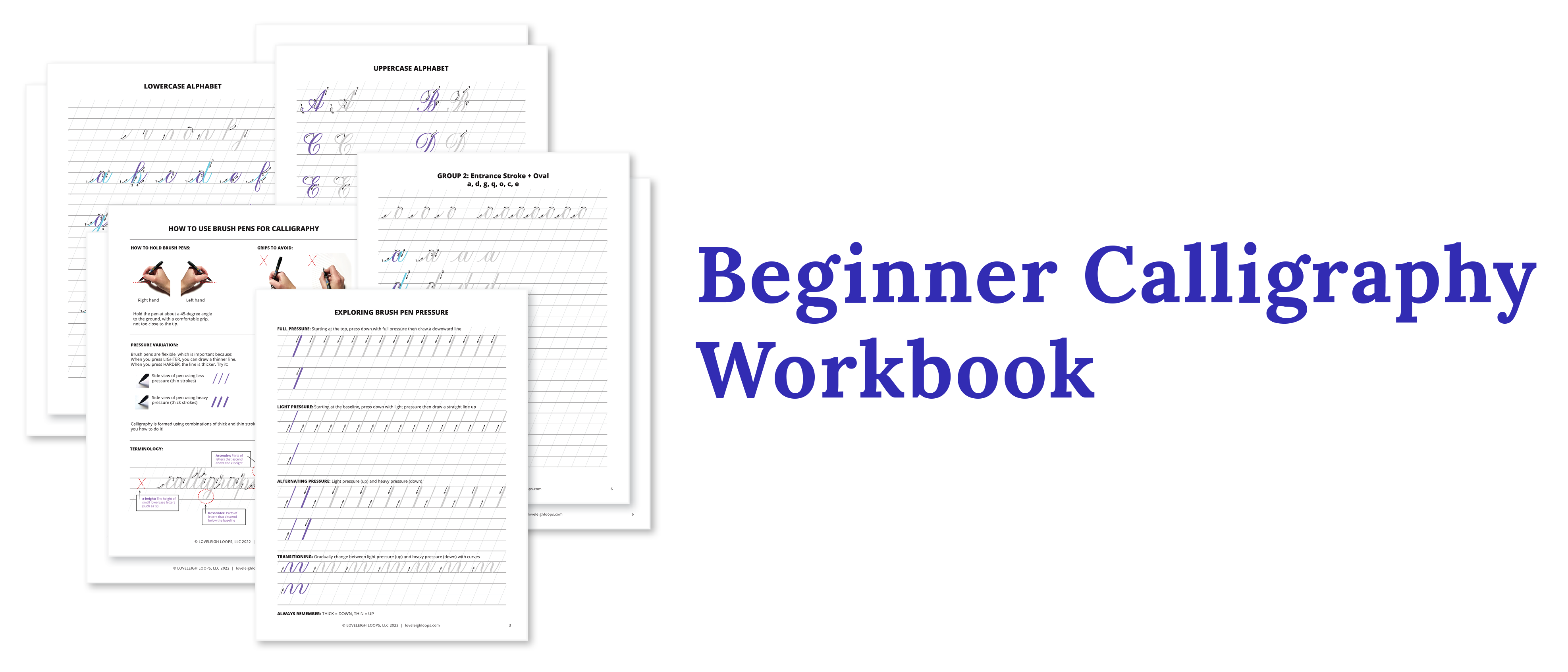 Beginner Calligraphy Workbook - Loveleigh Loops