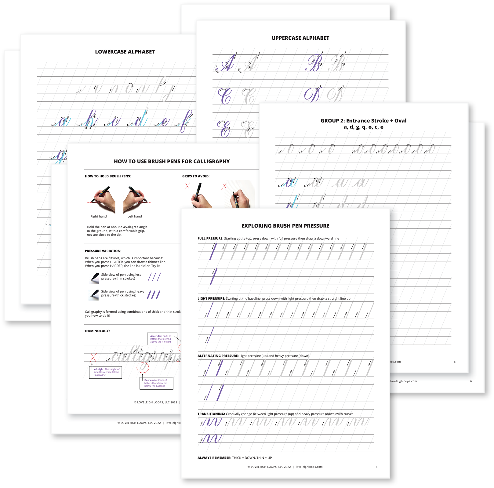 Beginner Calligraphy Workbook - Loveleigh Loops