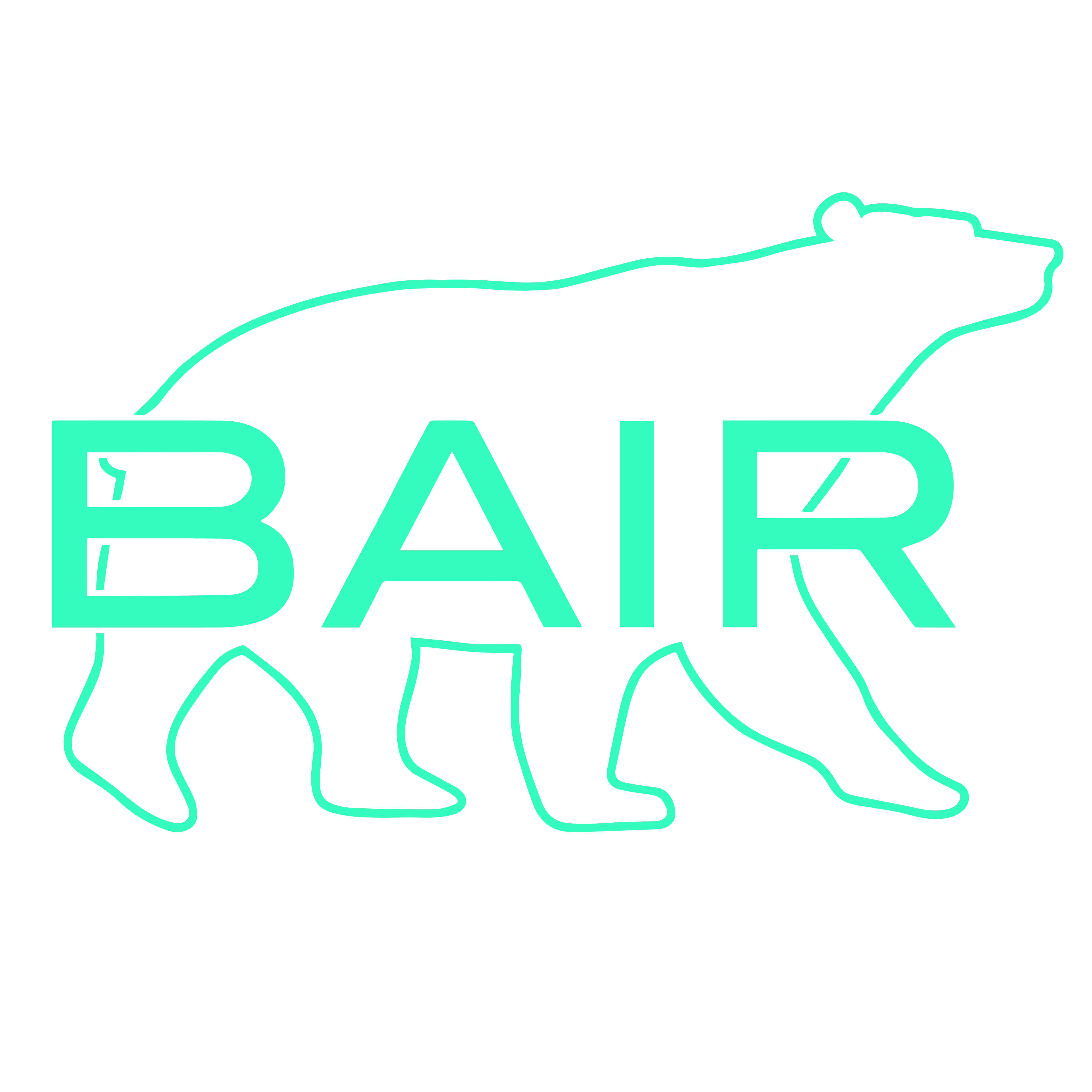 BAIR Services