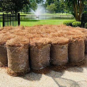 River Region Straw - Premium Long-Leaf Pine Straw