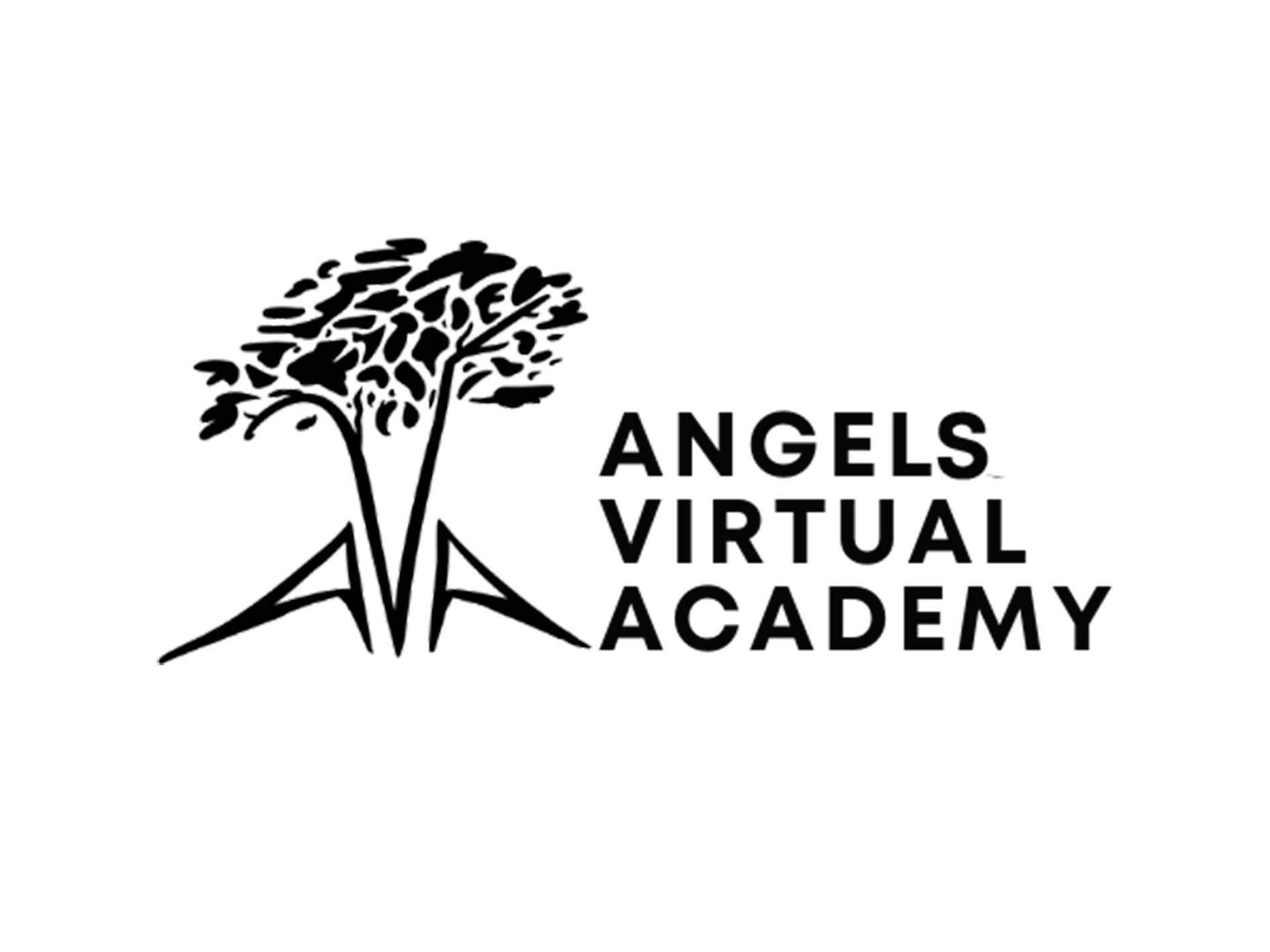 Angels Academy