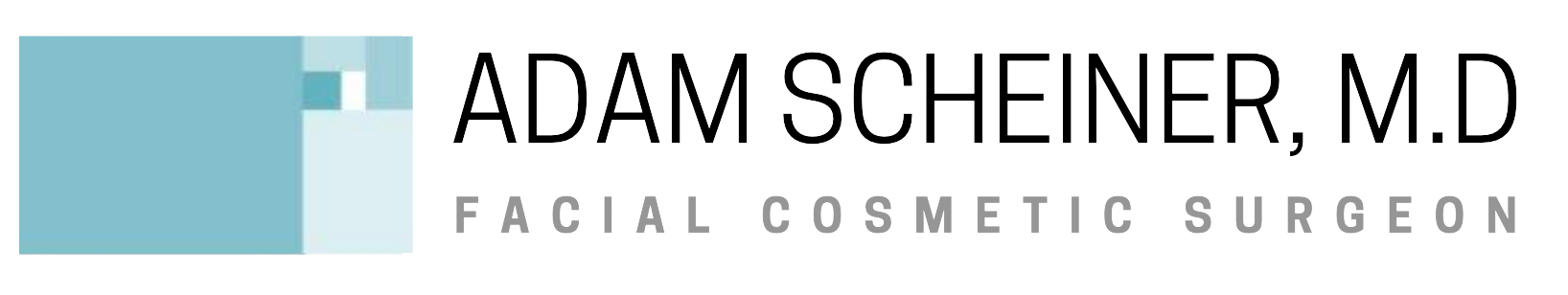 Adam J. Scheiner MD Facial Cosmetic Surgeon in Tampa, Florida